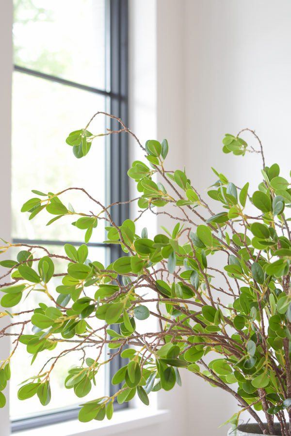 Favorite Vases, Vessels & Stems + Styling Tips - ZDesign At Home